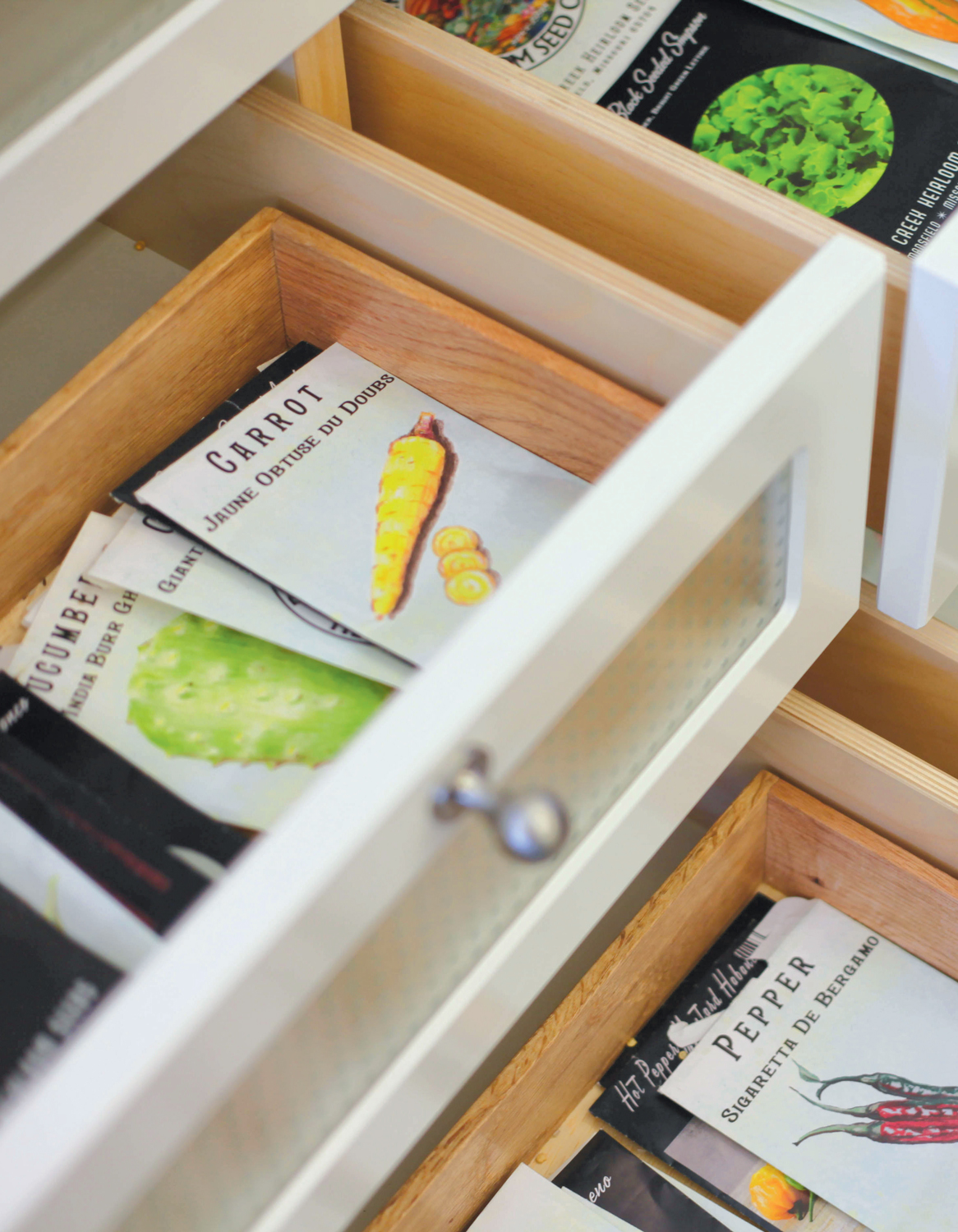 Gone to Seed: Exploring Connecticut's Seed Libraries